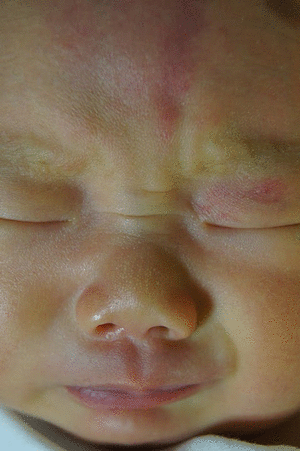 picasion.com_ca2074026e13e93dc90b9f52b0405044 – YunaSoft